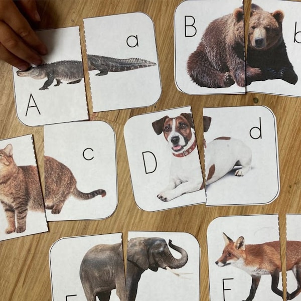 Animal Alphabet - Etsy