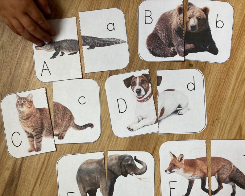 Animal Alphabet Matching Busy Bag Cards Montessori Toddler - Etsy