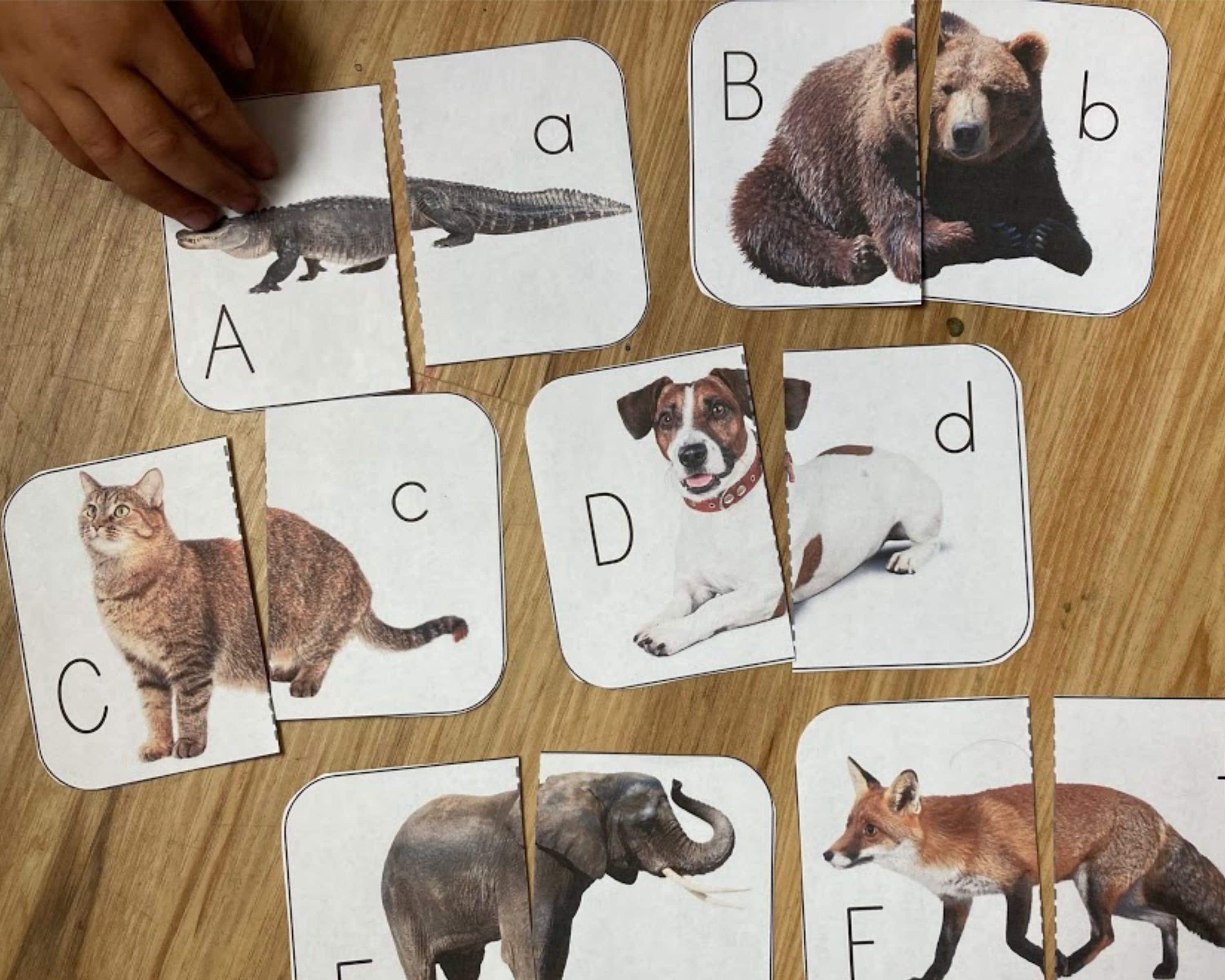 Animal Alphabet Matching Busy Bag Cards - Montessori Toddler Preschool ...