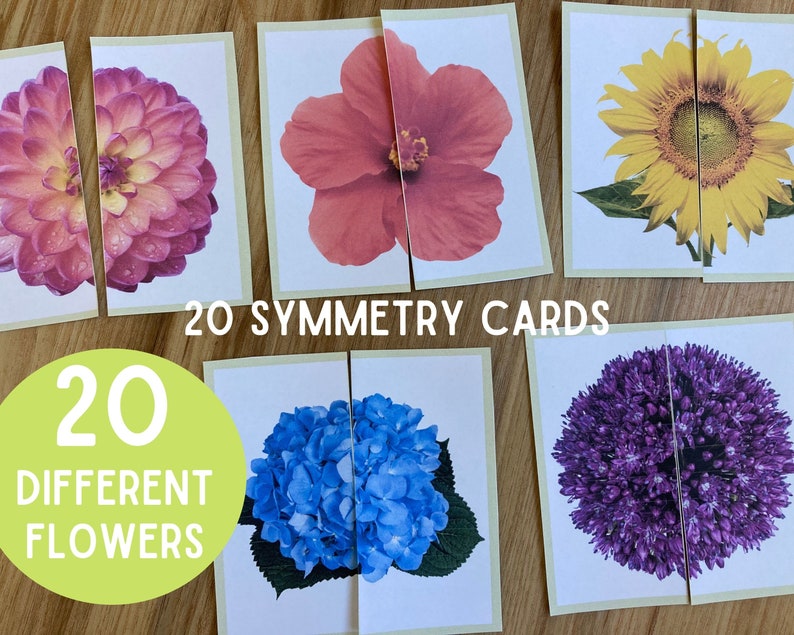 Flower Shadow Matching AND Symmetry Cards Set Montessori - Etsy
