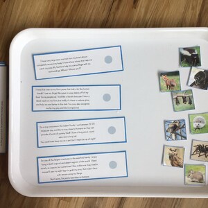 Nocturnal Animals - Preschool Printable Bundle - Early Reader - Shadow ...