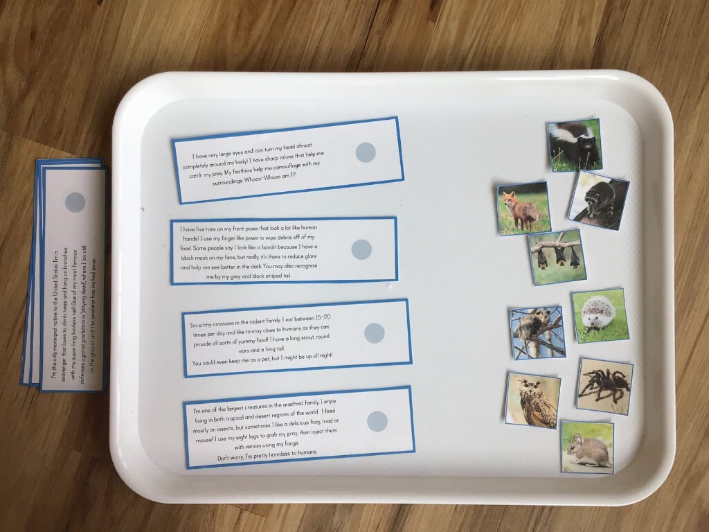 Nocturnal Animals Preschool Printable Bundle Early Reader | Etsy