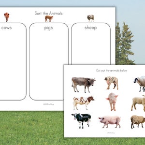 Farm Busy Book - Preschool Printable - Montessori Homeschool - Letter ...