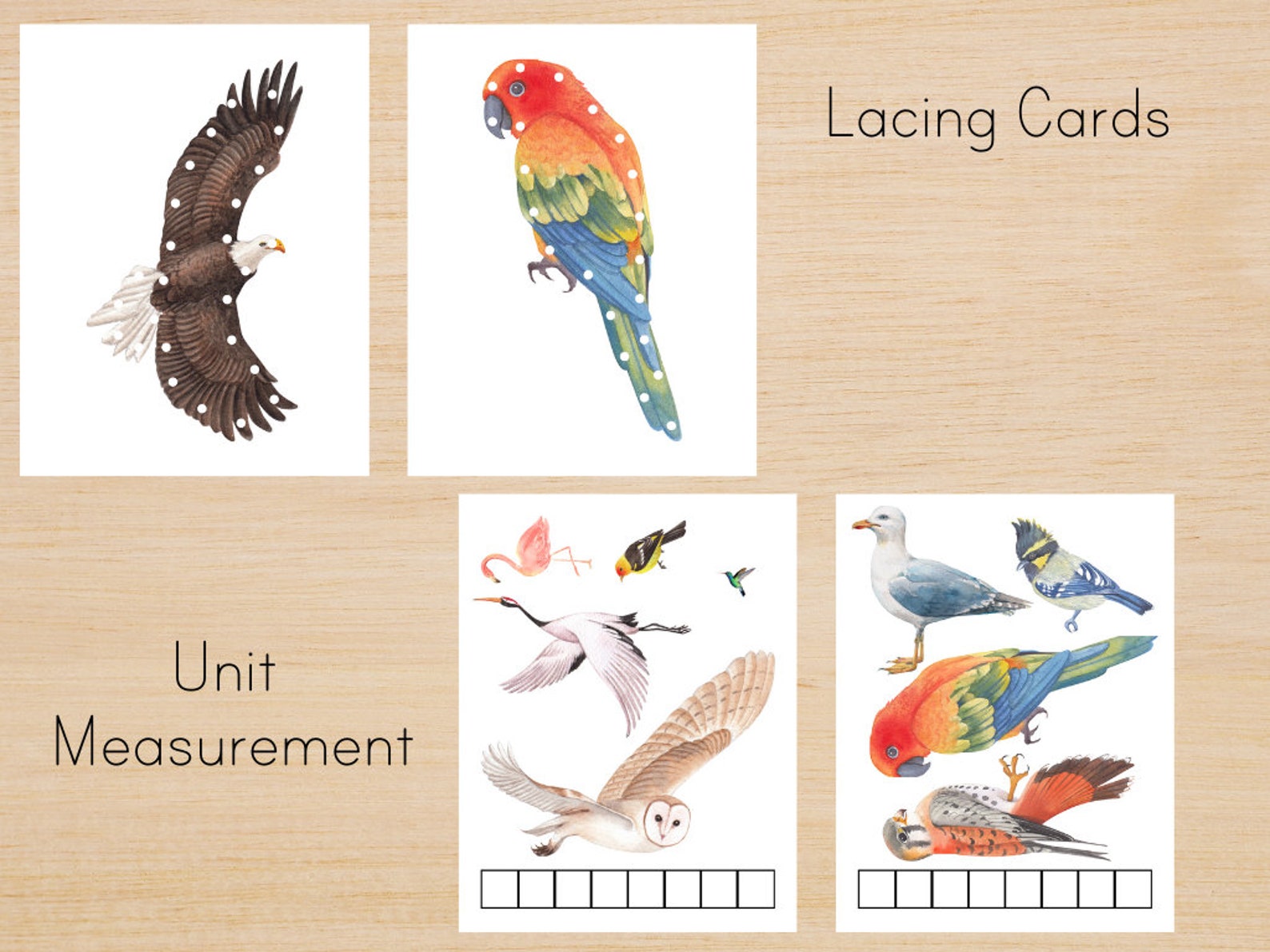 Birds Activity Bundle - Worksheets Busy Book Bag - Spring Nature Study ...