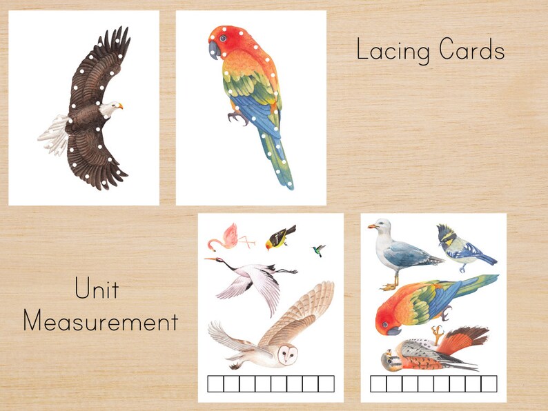 Birds Activity Bundle Worksheets Busy Book Bag Spring - Etsy