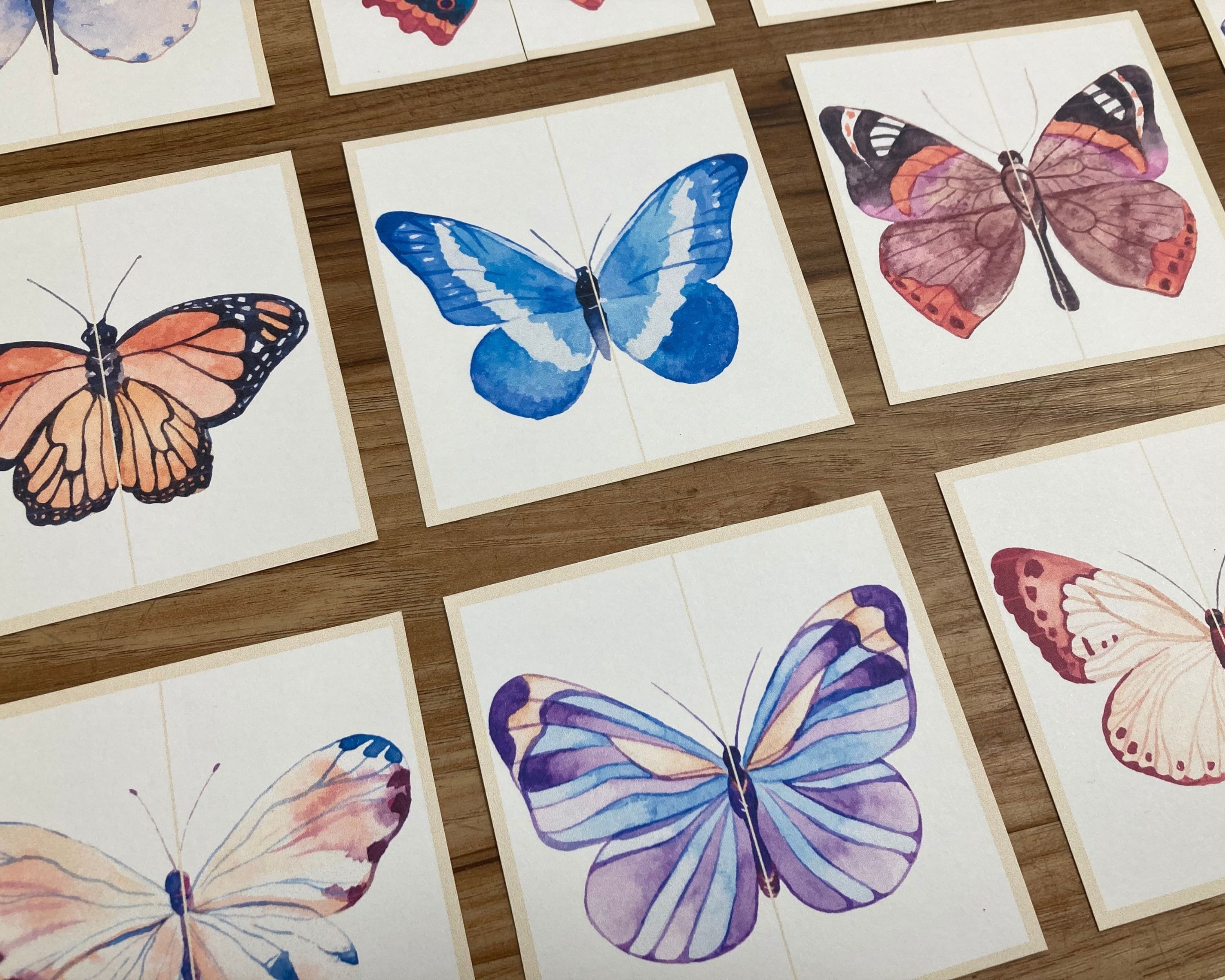Butterfly Moth Symmetry Cards Preschool Matching Game | Etsy