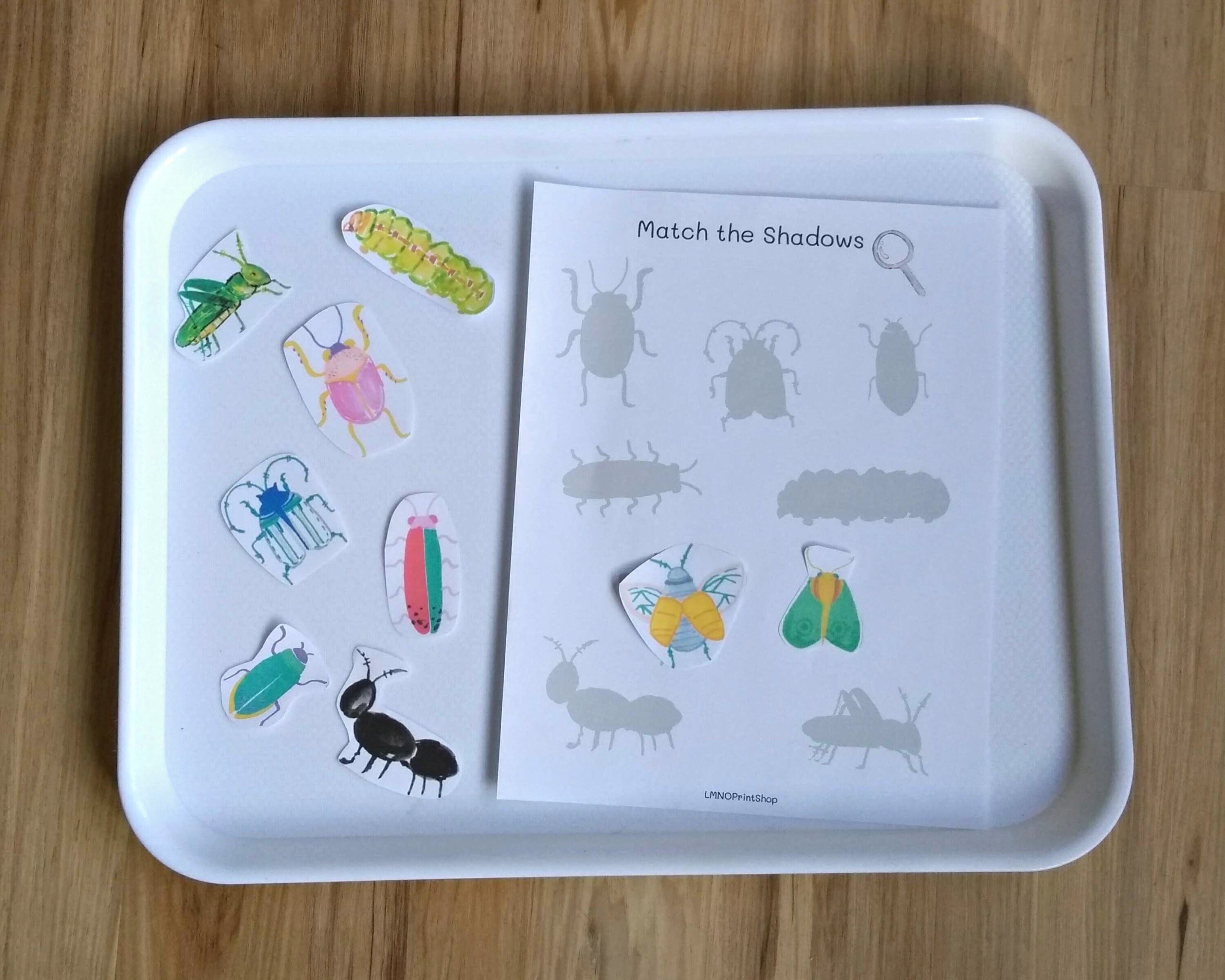 Bug Insect Busy Book Shadow Shape Matching Toddler Preschool - Etsy