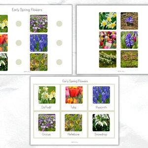 Early Spring Flowers MATCHING Busy Book Learning Binder - Etsy