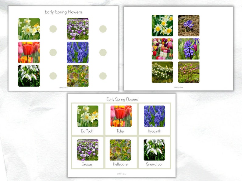 Early Spring Flowers MATCHING Busy Book Learning Binder - Etsy