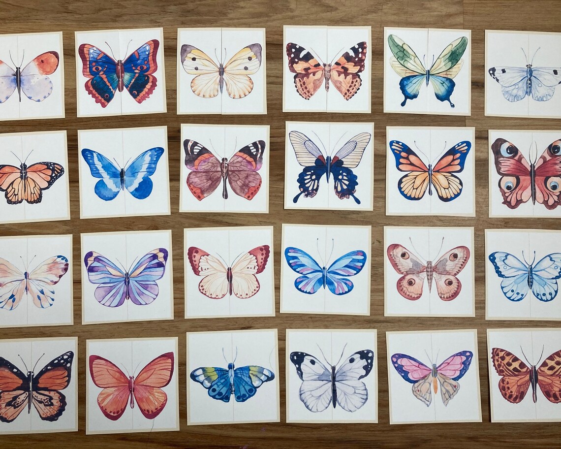 Butterfly Moth Symmetry Cards Preschool Matching Game - Etsy