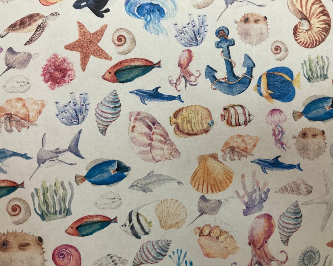 Ocean Fish Ispy Seek & Find Count Counting Worksheet - Etsy