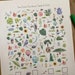Nature Spring Summer Ispy Seek & Find Counting Worksheet Animals Leaves ...