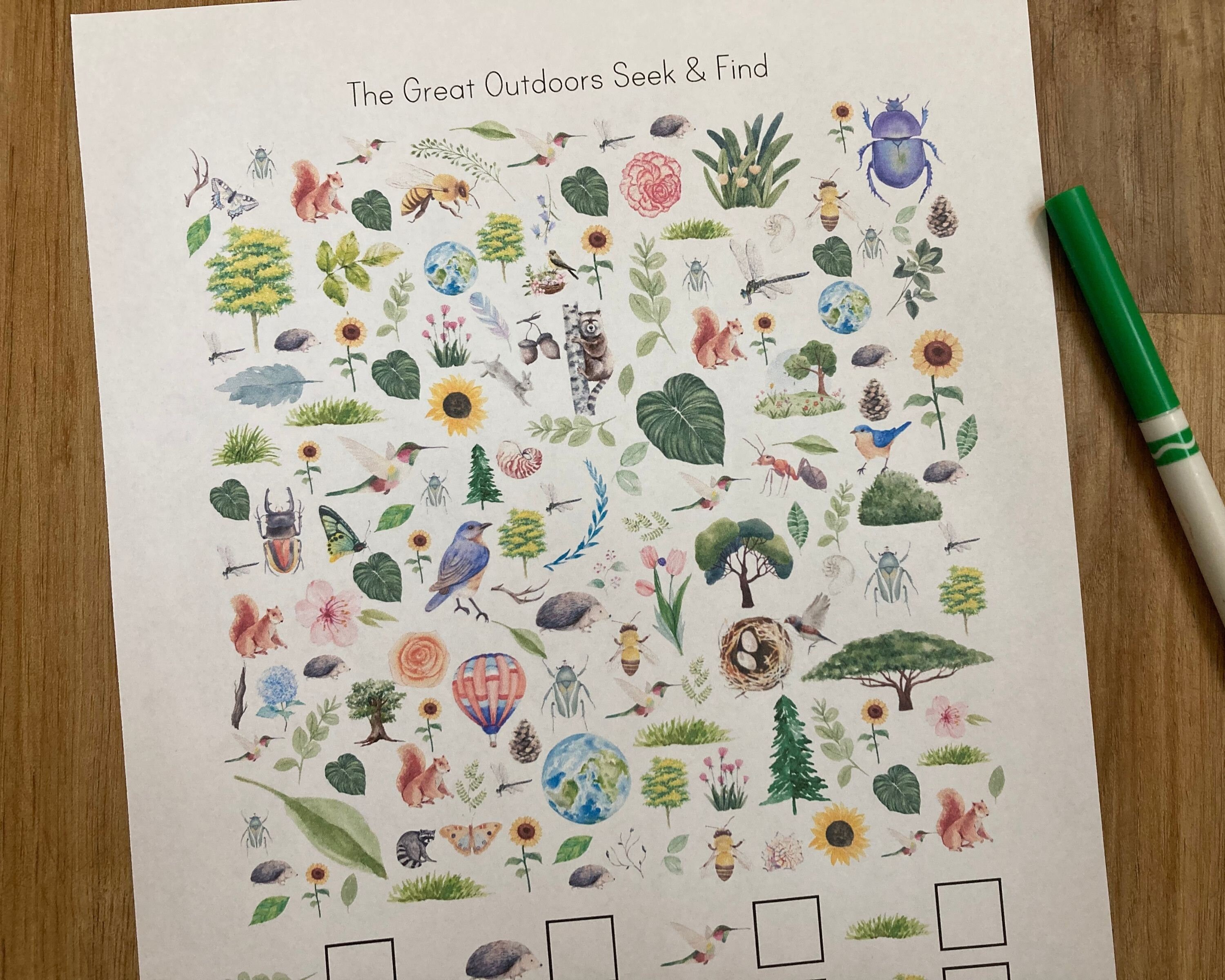 Nature Spring Summer Ispy Seek & Find Counting Worksheet | Etsy