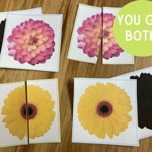 Flower Shadow Matching AND Symmetry Cards Set Montessori Activity ...