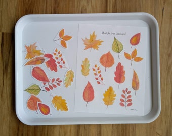 Fall Learning Binder Preschool Printable Busy Book Autumn | Etsy