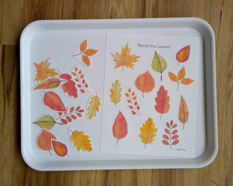 Leaf Matching Fall Autumn Busy Book Learning Binder - Etsy