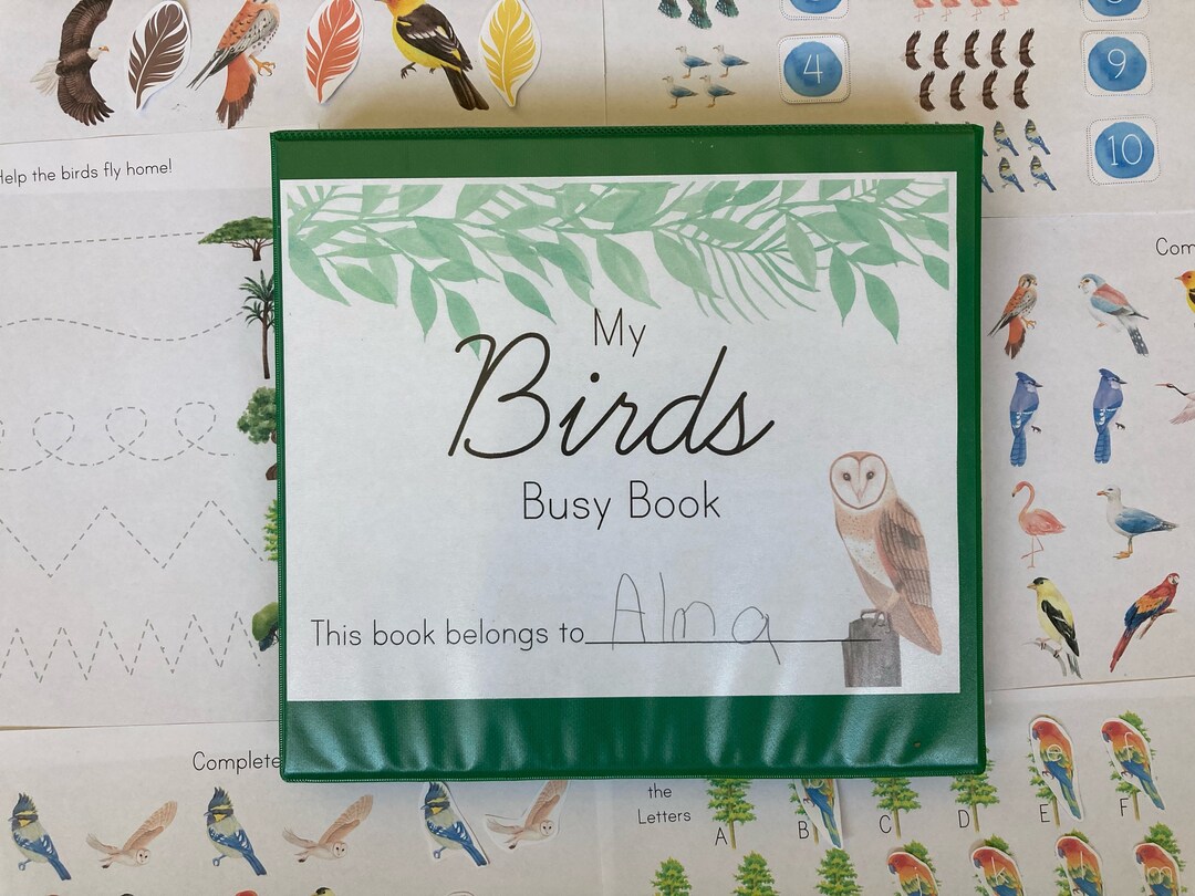 Birds Busy Book - Nature Study Activity - Learning Binder Tracing ...