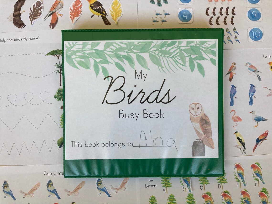 Birds Busy Book Nature Study Activity Learning Binder - Etsy