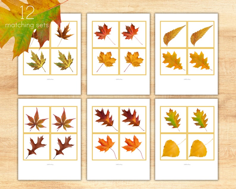 Leaf Matching Cards - Montessori Learning - Preschool Fall Activity ...