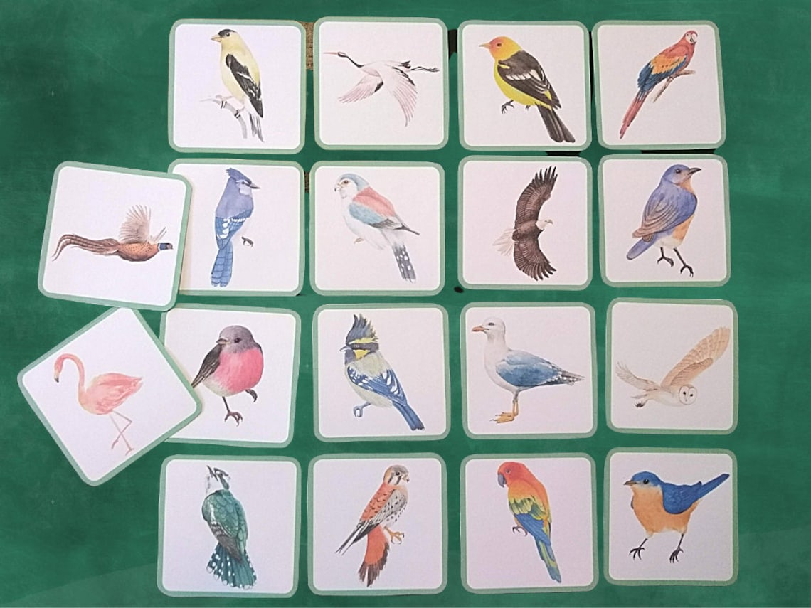 Bird Shadow Matching Cards - Busy Bag Activity - Preschool Toddler ...
