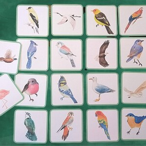 Bird Shadow Matching Cards - Busy Bag Activity - Preschool Toddler ...