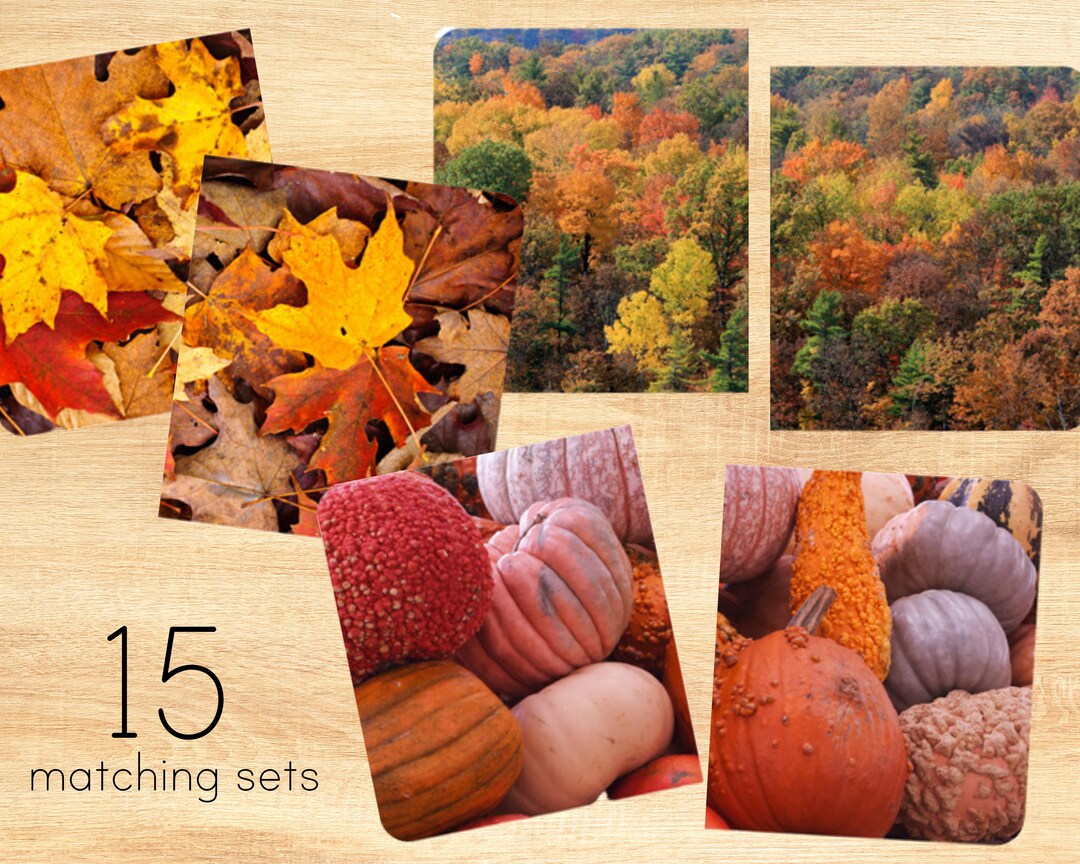 Fall Matching Puzzles - Preschool Autumn Game - Pumpkin, Leaves ...