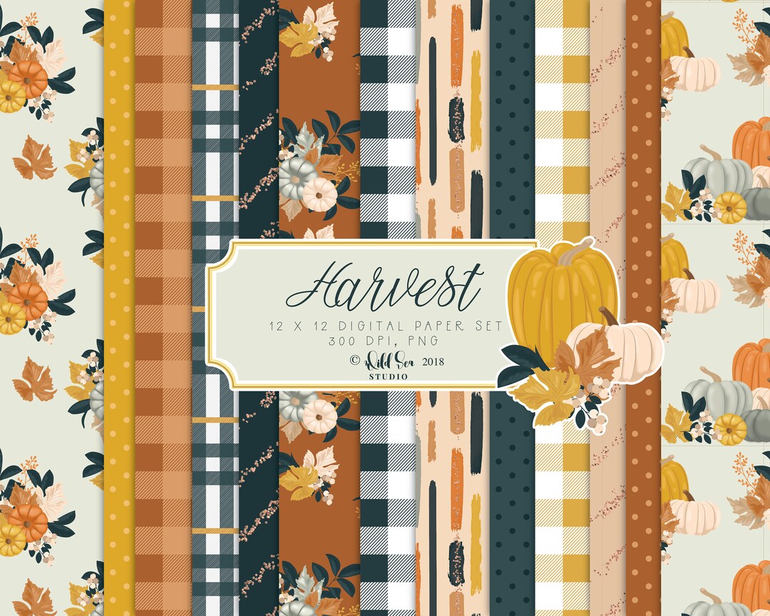 Pumpkin Harvest Digital Paper Set, 12 X 12 Inch, 300 Dpi, Png, Pumpkins ...