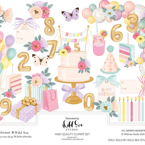 Birthday Digital Clipart Set Pink Birthday Glam Birthday - Etsy