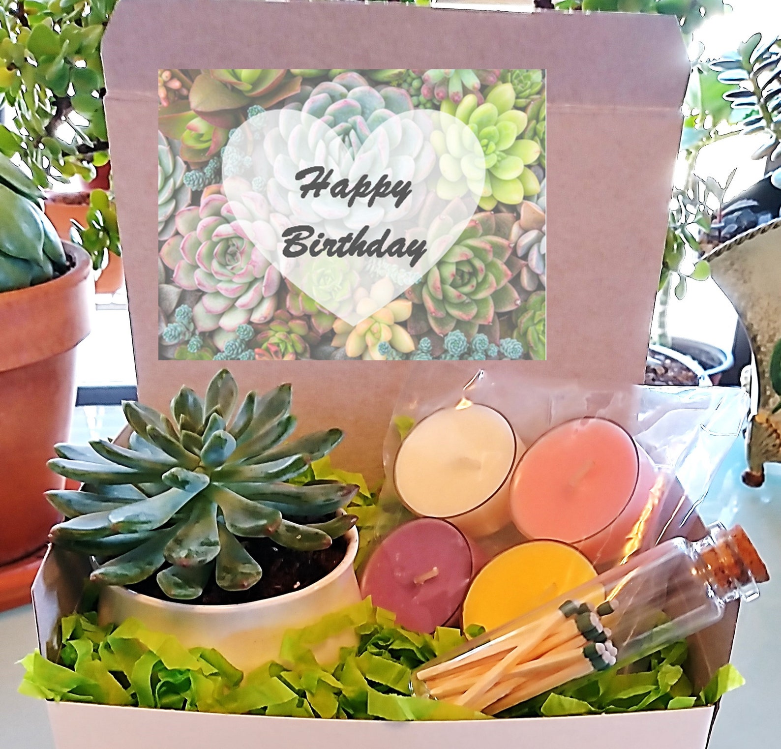 Succulent Gift Box Happy Birthday Gift Box Happy Birthday | Etsy