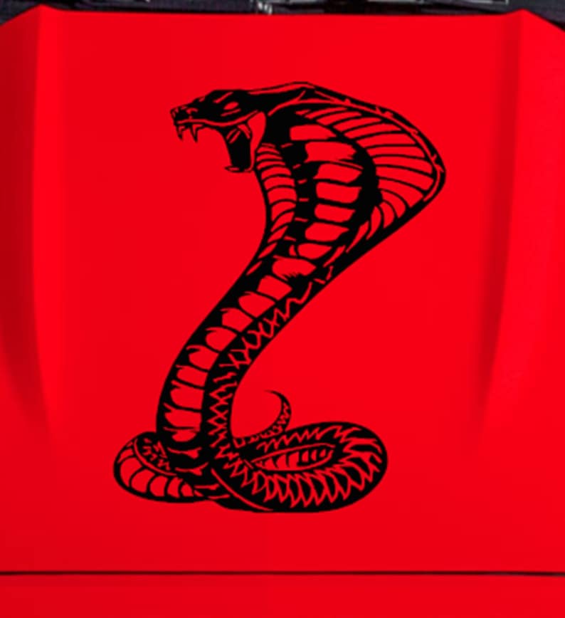 Clausen's World - Cobra Vinyl Decal 20" X 35.75" Racing Stripes - Compatible With Mustang ...