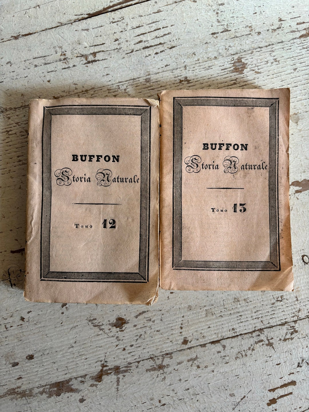 2 Antique 1830 Buffon Natural History Mammals Dog and Cat Books ...