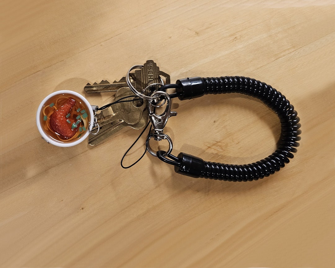 Retractable Hanging Wire Keychains Stretchy Plastic Spiral Keyrings ...