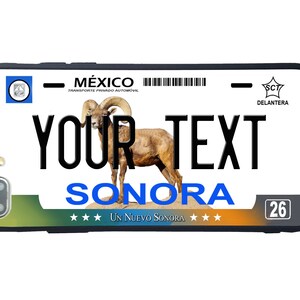 Custom Text Mexico State License Plate Tempered Glass Phone | Etsy