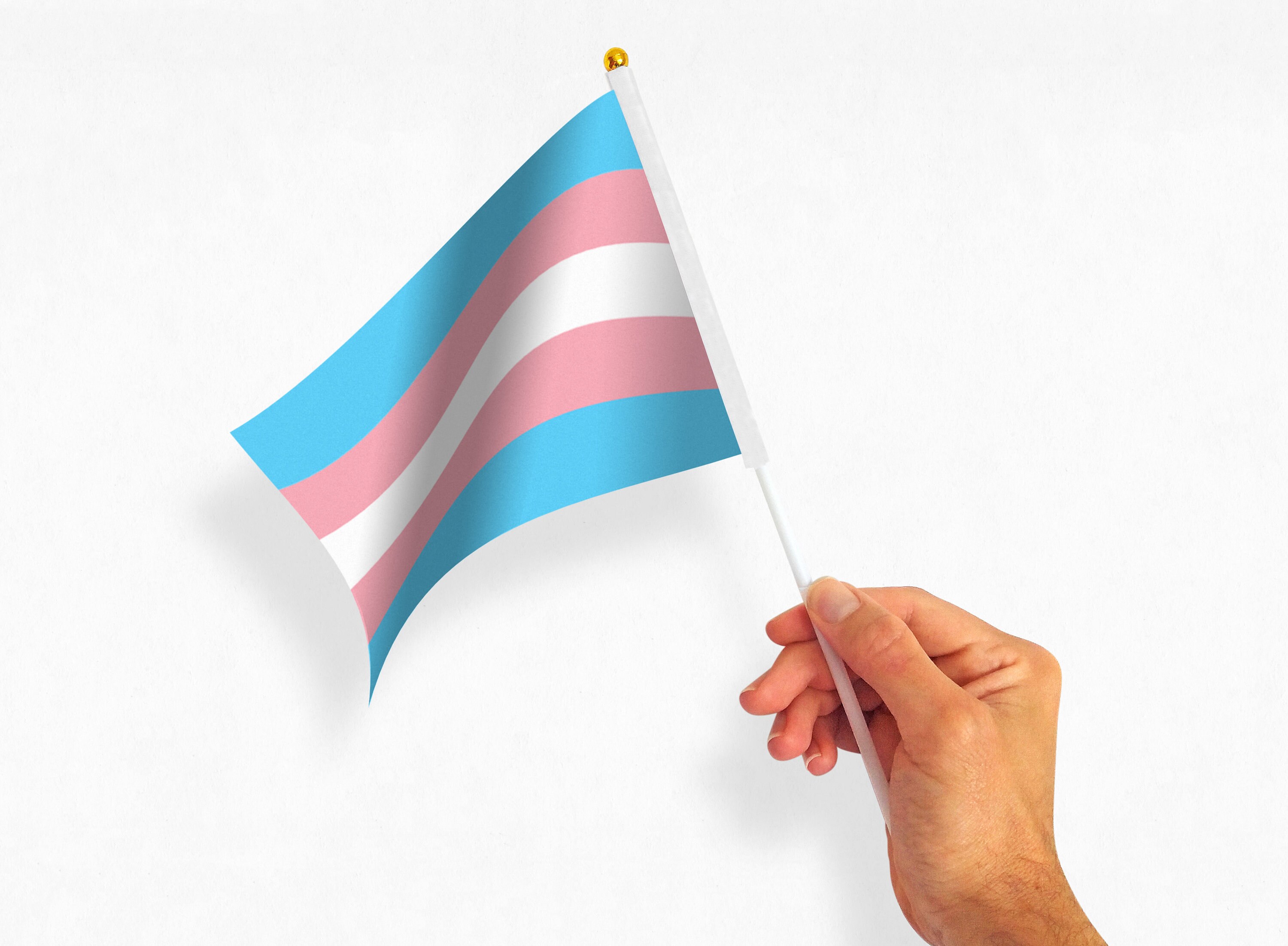 Trans pride mini flags set of 5 small transexual flags | Etsy