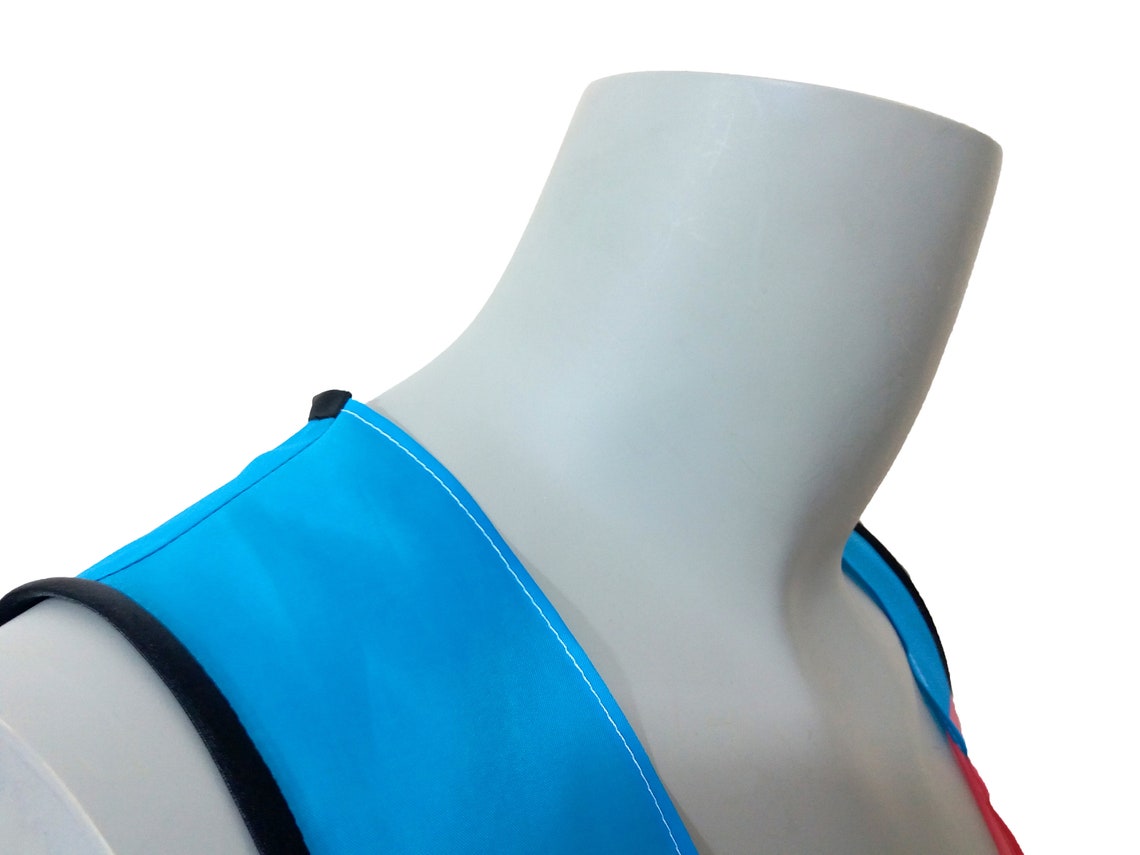 Trans Pride Flag Vest Shirt. LGBTQ Outfit Gift for Transgender | Etsy