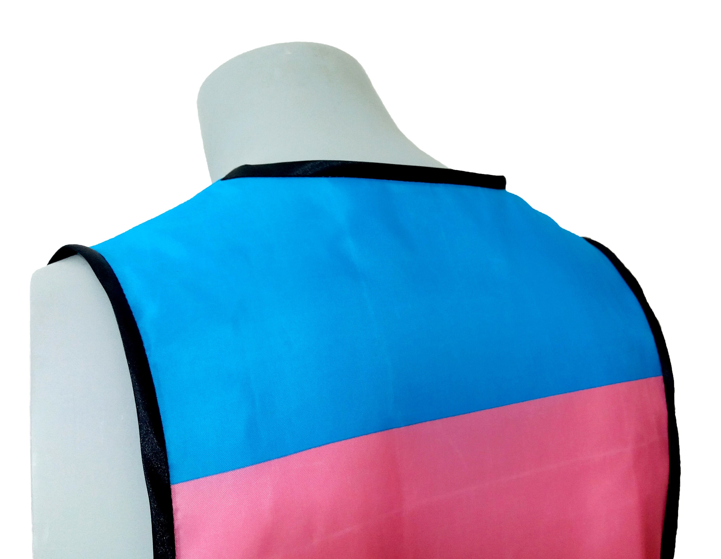 Trans Pride Flag Vest Shirt. LGBTQ Outfit Gift for Transgender | Etsy