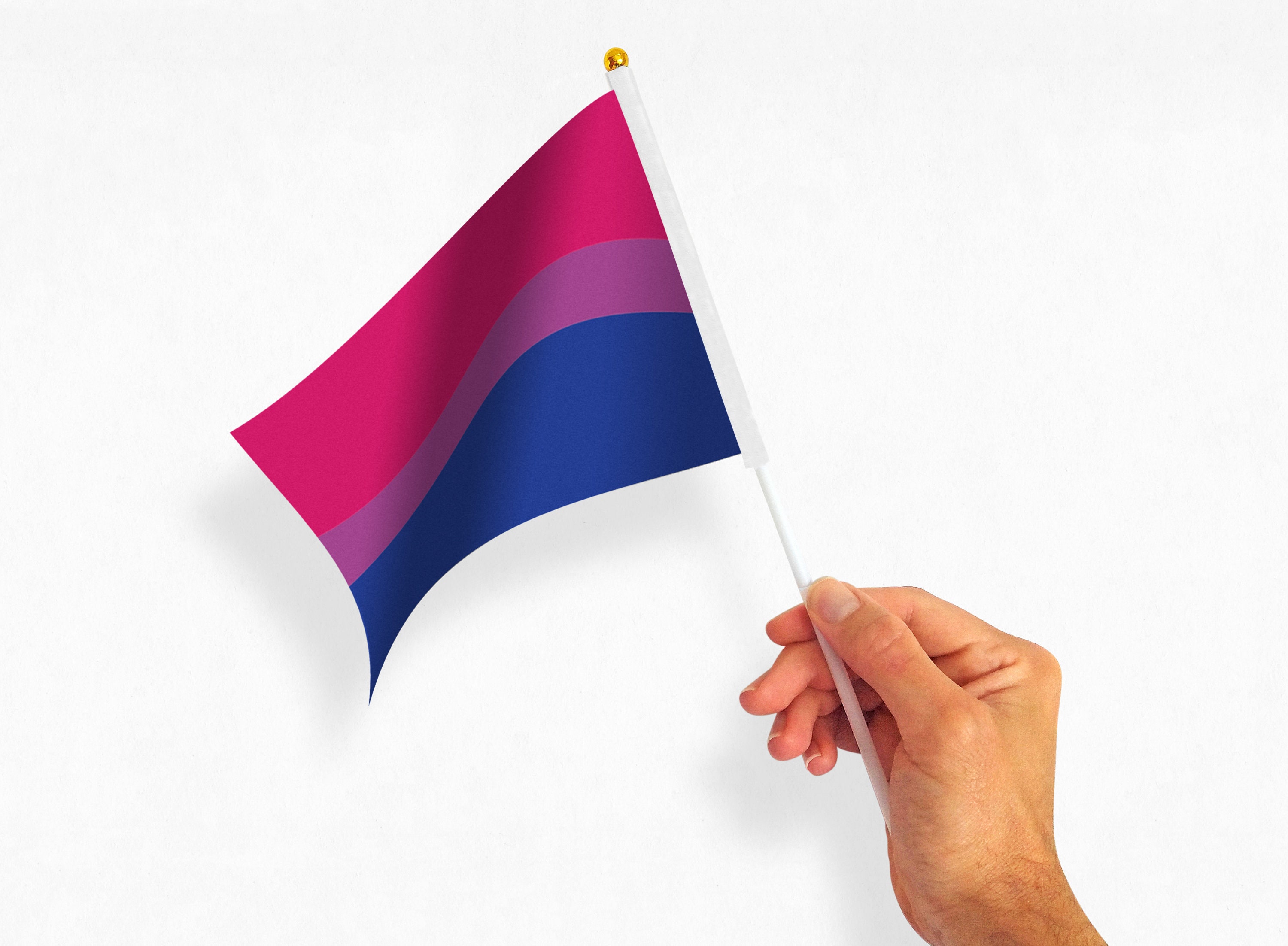 Bi Pride Mini Flags. Set of 5 Small Bisexual Flags | Etsy