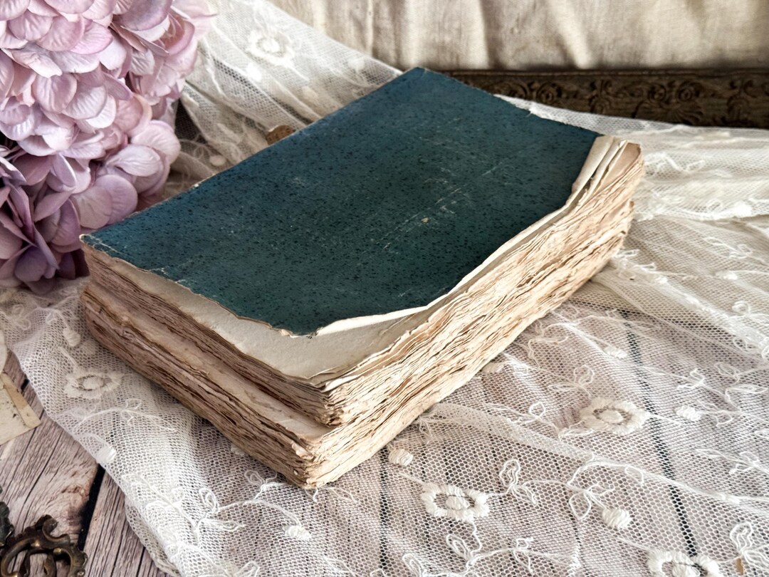 Antique French Blue Paperback Book With Ruffled Pages - 19th Century ...