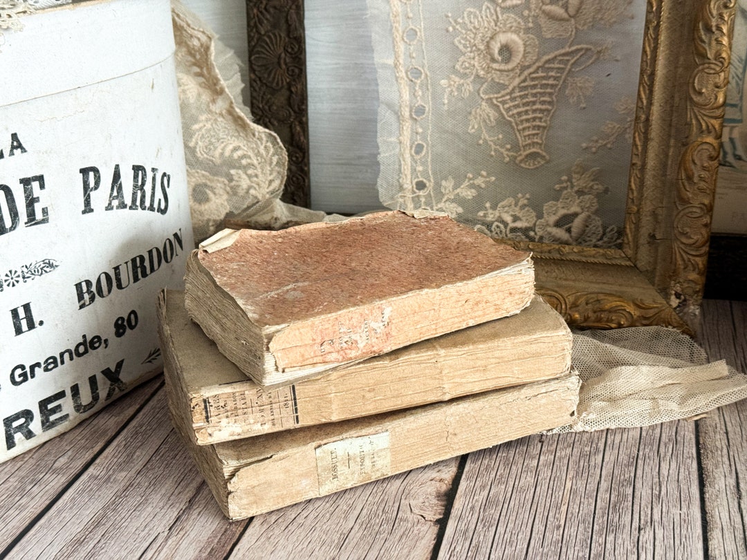 Set of 3 Antique French Paperback Books With Ruffled Pages 19th Century ...