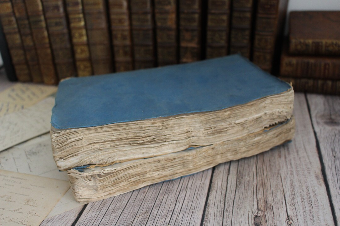 Set of 2 Antique French Blue Paperback Books With Ruffled Pages 19th ...