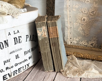 Set of 2 Antique French Blue Paperback Books with Ruffled Pages - 18th ...