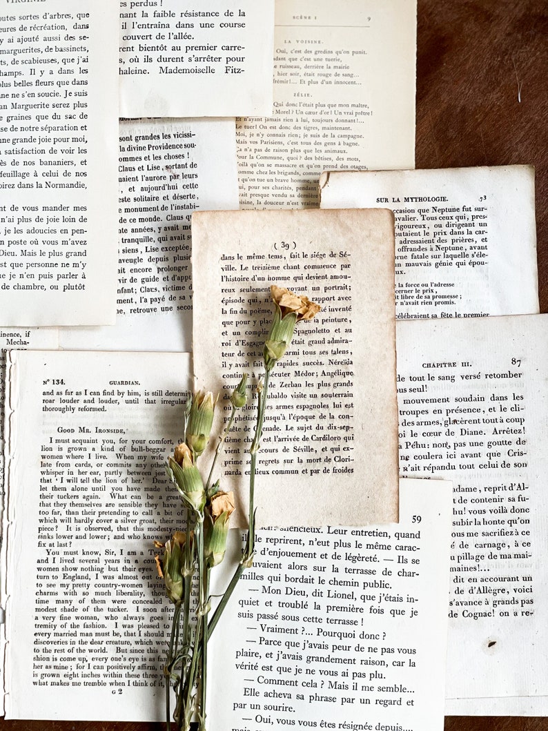 Assorted Antique Book Pages – French Ephemera for Junk Journals - Etsy