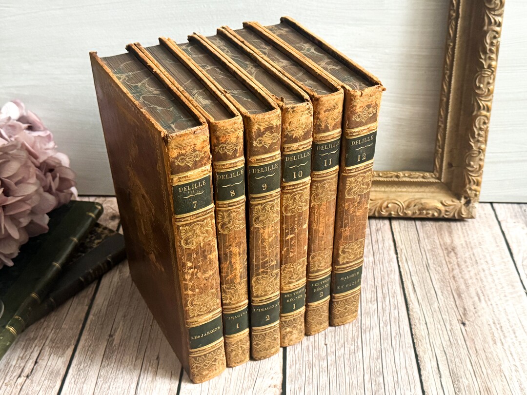 Set of 6 Antique French Books Bookshelf Decor Display - Etsy