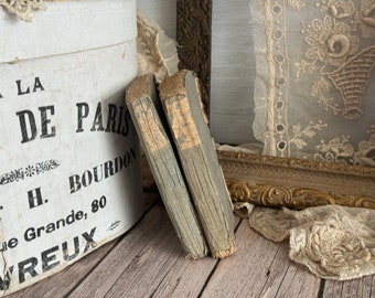 Set of 2 Antique French Small Blue Paperback Books with Ruffled Pages ...