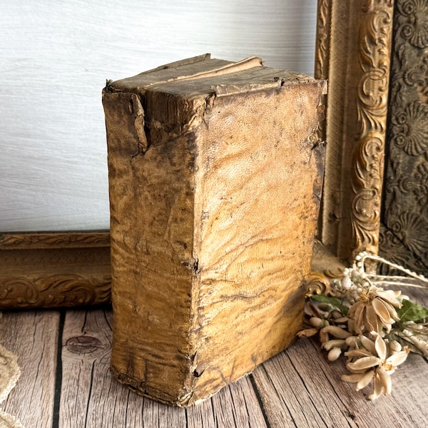 Antique Books - Etsy