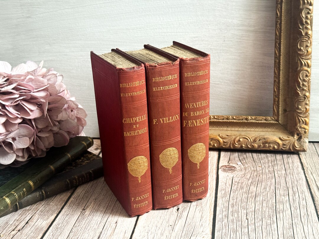 Set of 3 Antique French Books - 19th Century - Etsy
