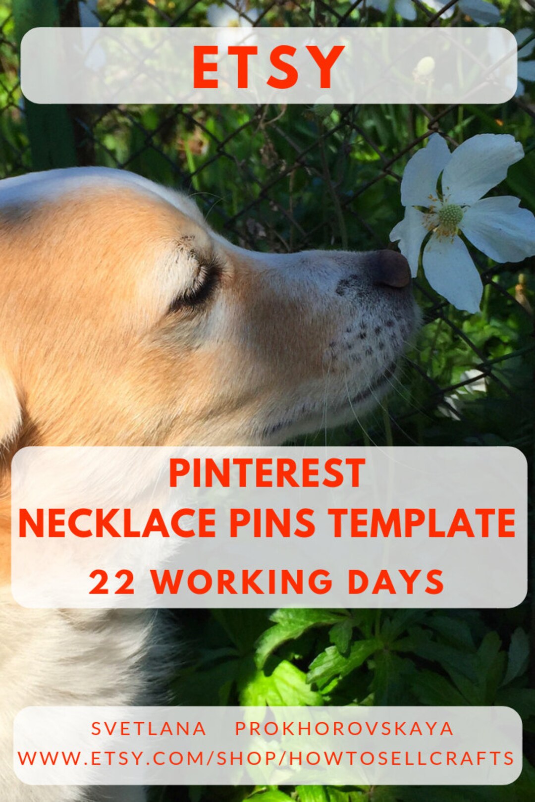 Pinterest Social Media Help Pinterest Help Pinterest Templates ...