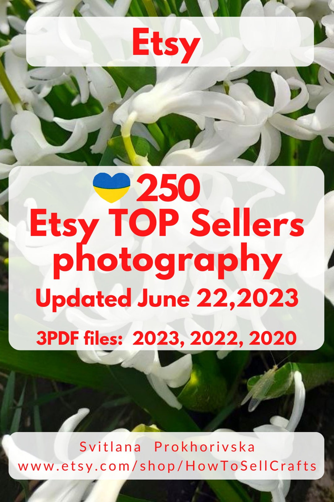 Etsy Top Sellers Etsy Best Sellers 2023 Photography 3 Pdf Etsy etsy-top-sellers-etsy-best-sellers-2023-photography-3-pdf-etsy