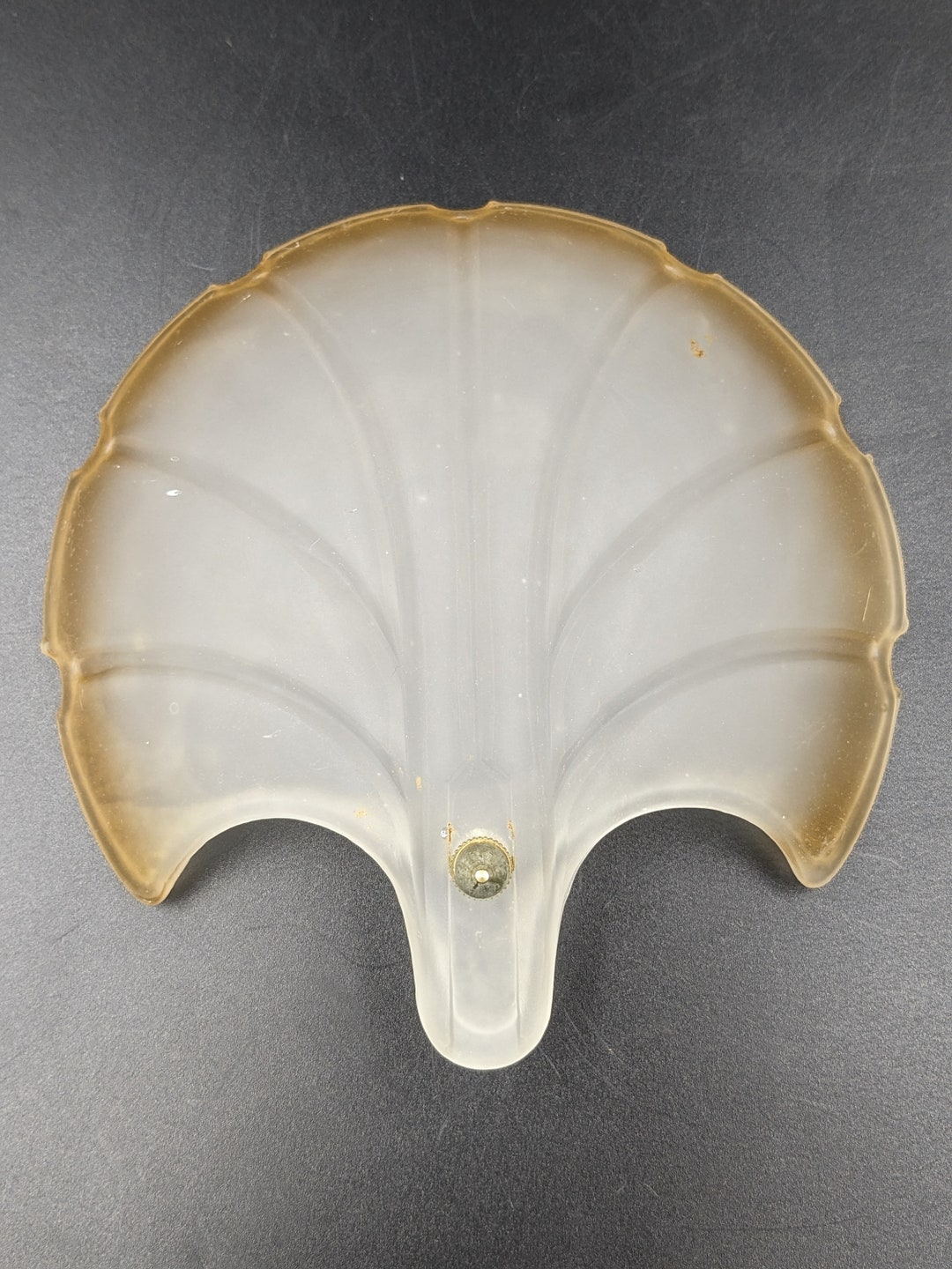 Vintage Frosted Sea Shell Wall Sconce Glass, Made in Italy. Peach Edge ...