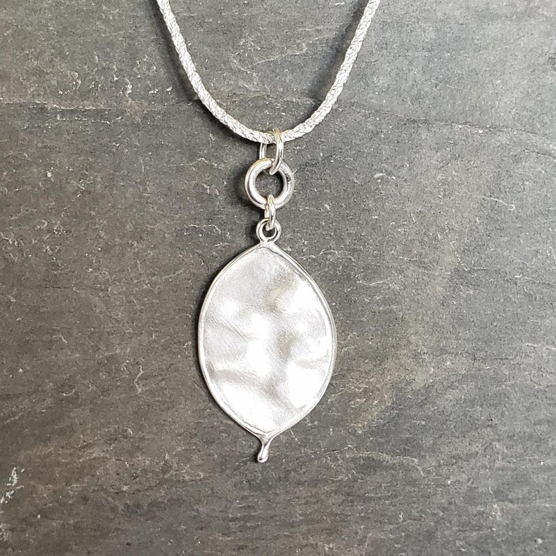 Unusual Seed Pods - Etsy